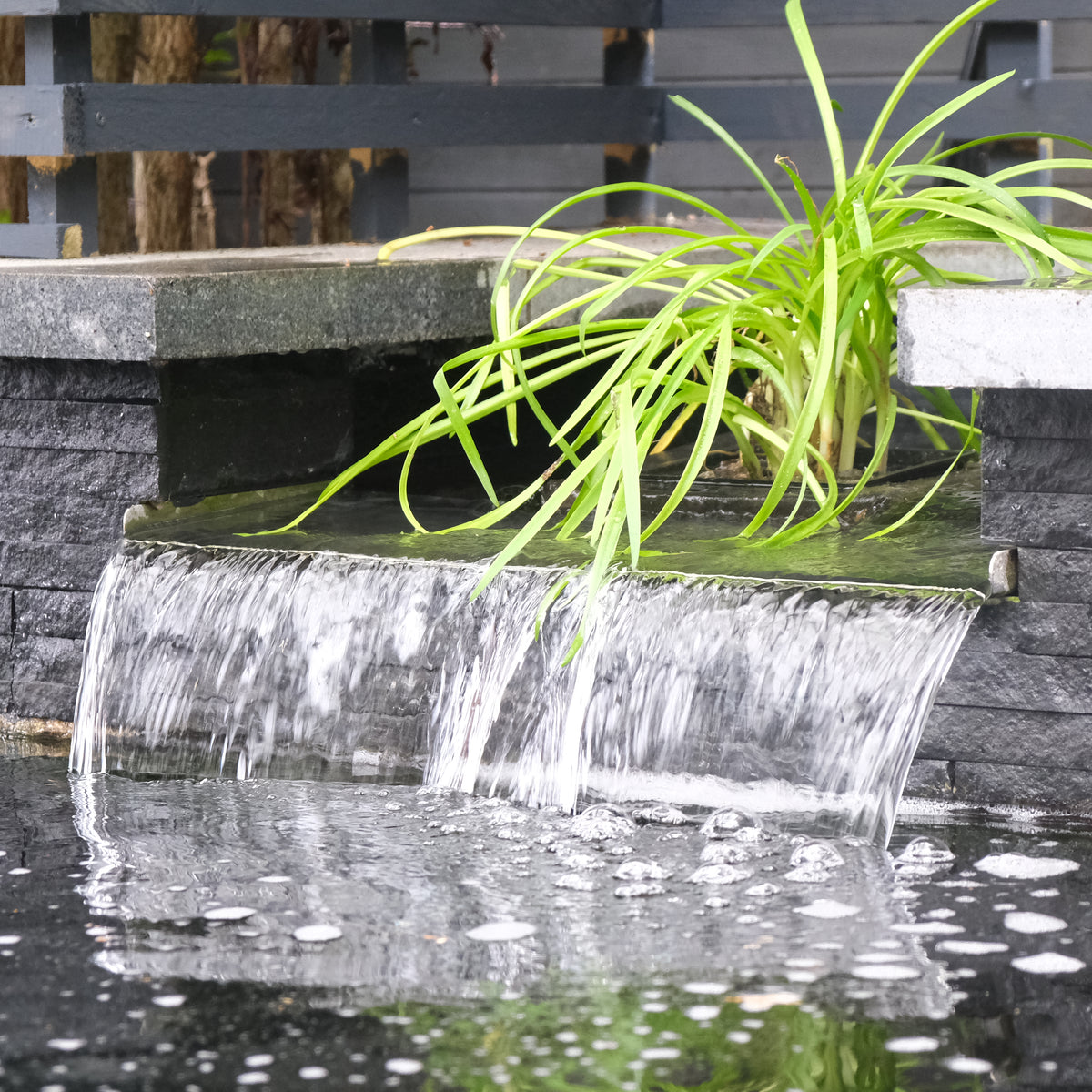 Stainless Steel Spillway 50mm Sides - Veggie Filter – Water Blades